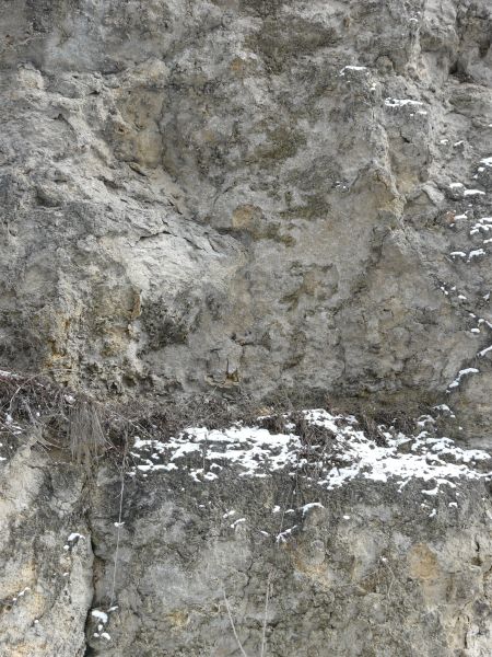 grey dirt wall texture 0015 - Texturelib